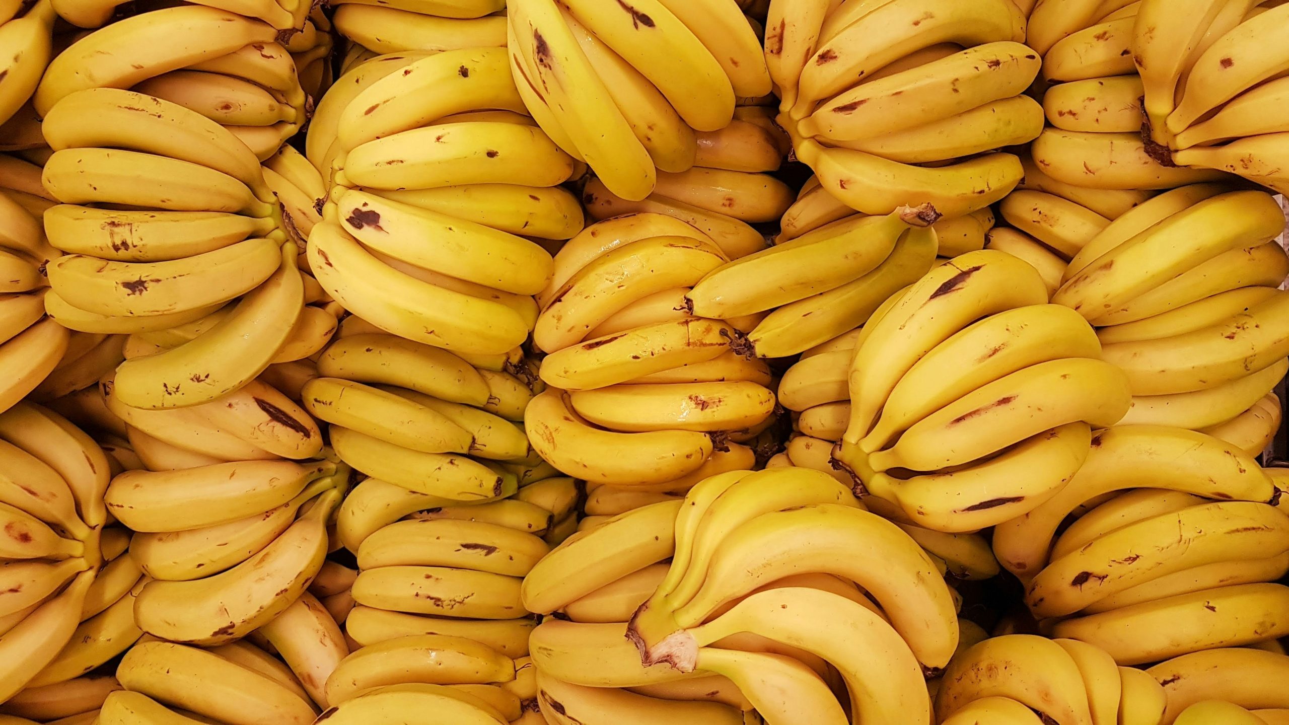 Masacre de las Bananeras ¿qué pasó y por qué ocurrió?